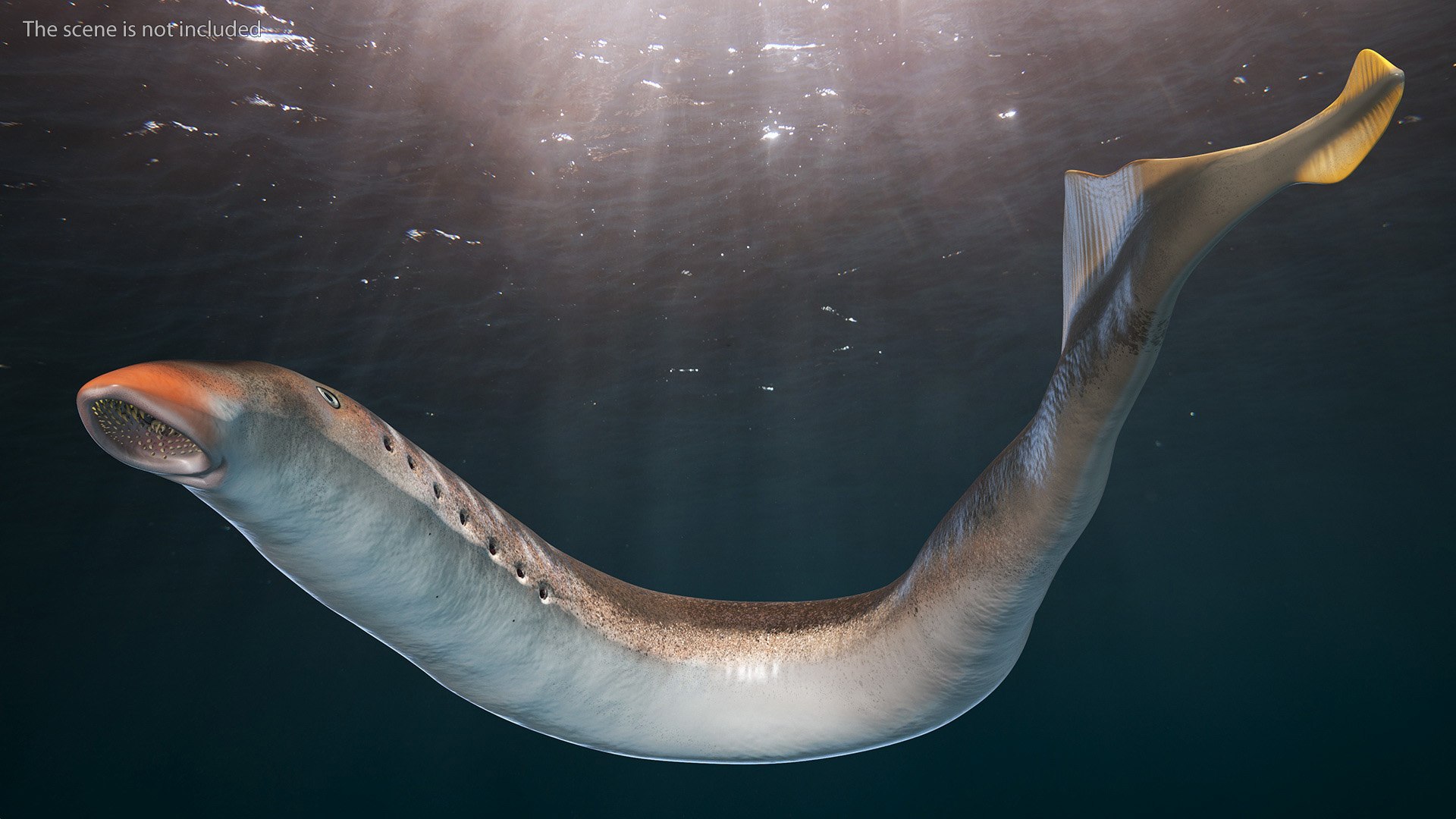 3D Model Lamprey Rigged - TurboSquid 2189674