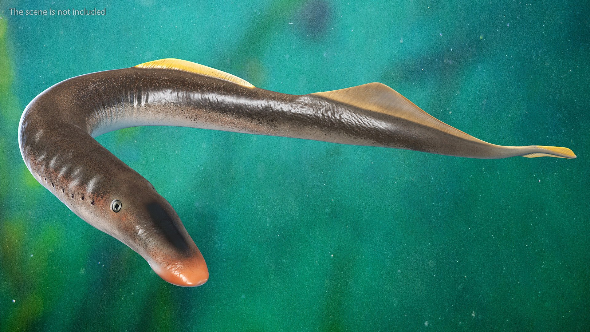 3D Model Lamprey Rigged - TurboSquid 2189674