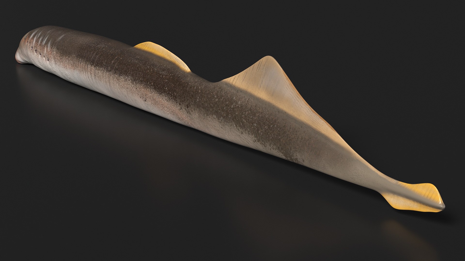 3D Model Lamprey Rigged - TurboSquid 2189674