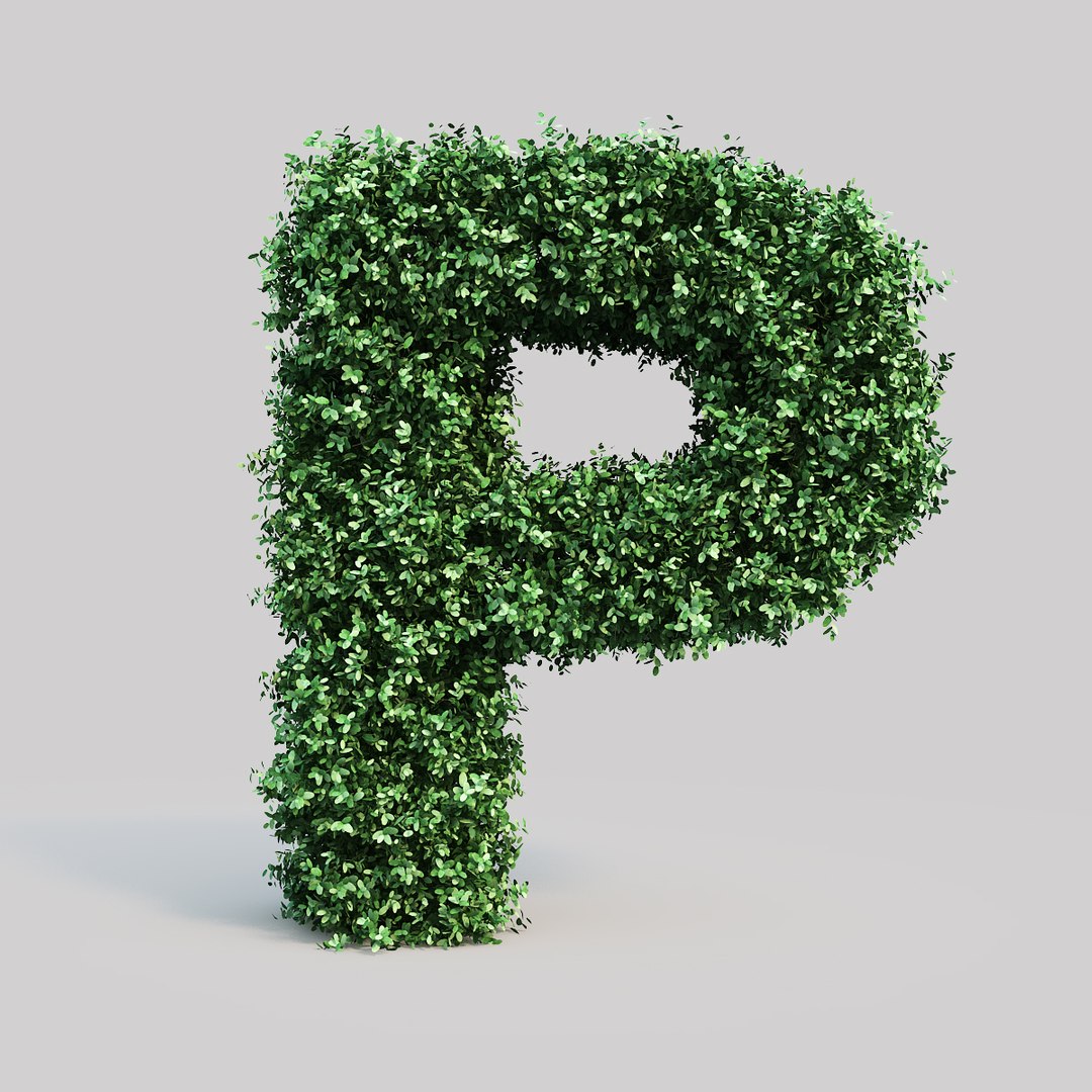 max alphabet p buxus