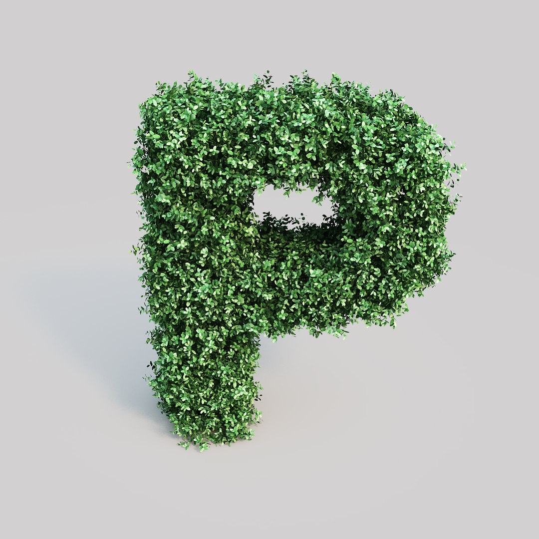 max alphabet p buxus