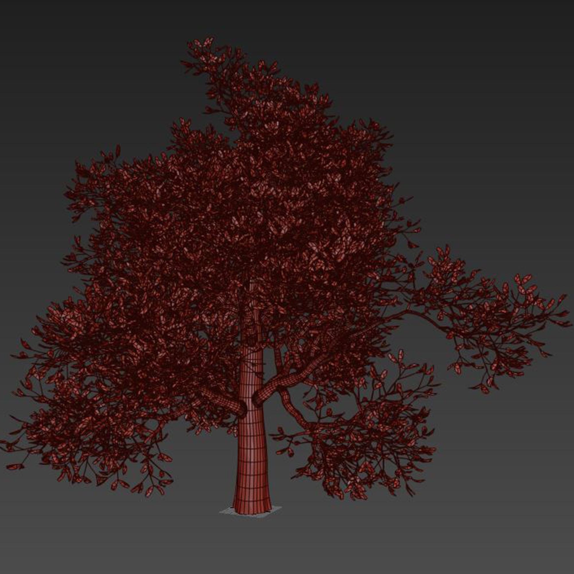 Free 3D tree01 - TurboSquid 1897840
