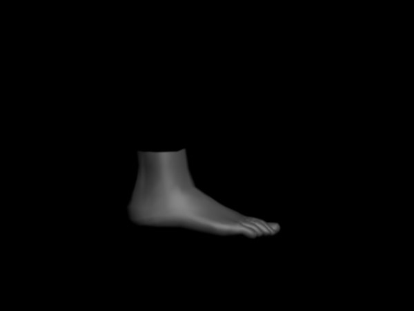 Free 3D Foot Models | TurboSquid