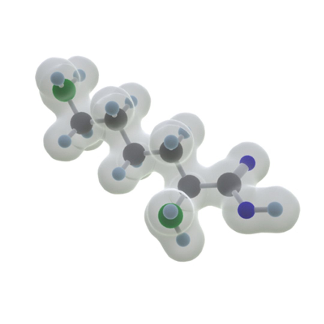proteinogenic amino acids 3d model