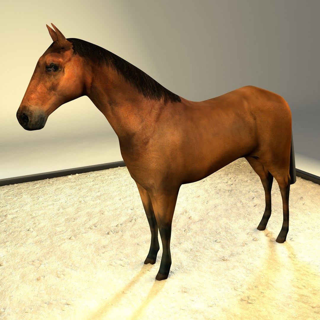3D model horses - TurboSquid 1565372