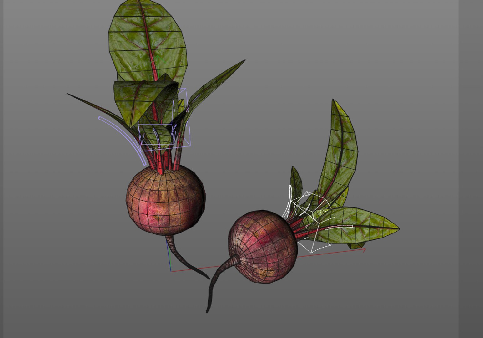 3D Beetroot - TurboSquid 1544002