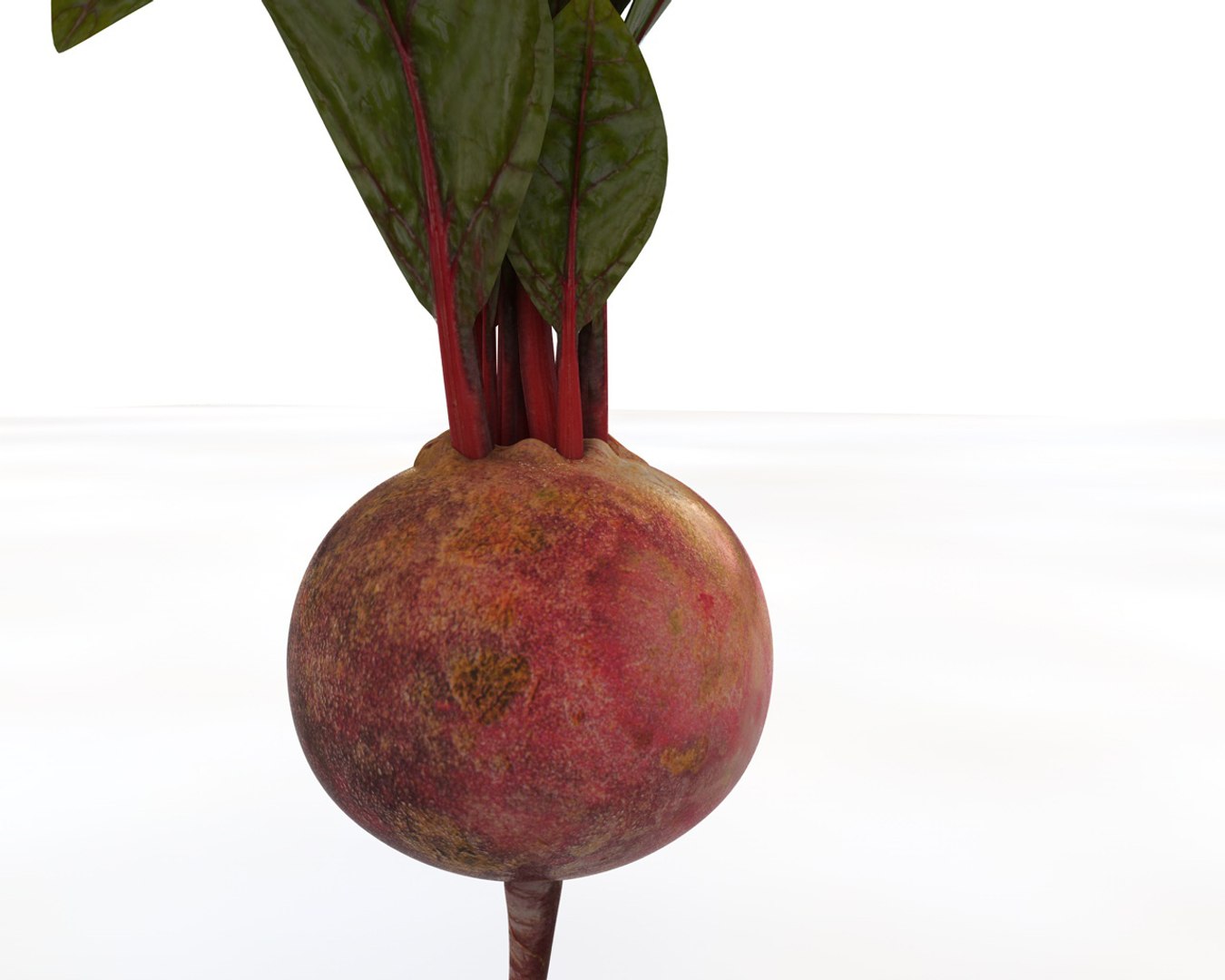 3D Beetroot - TurboSquid 1544002