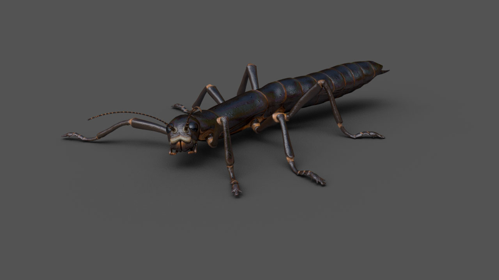 3D Ready Stick Insect Model - TurboSquid 1270889