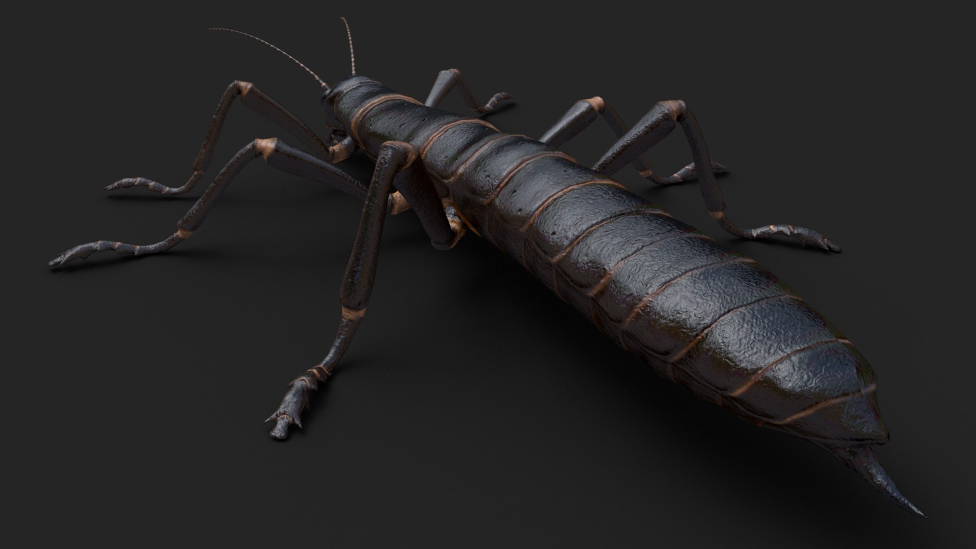 3D Ready Stick Insect Model - TurboSquid 1270889