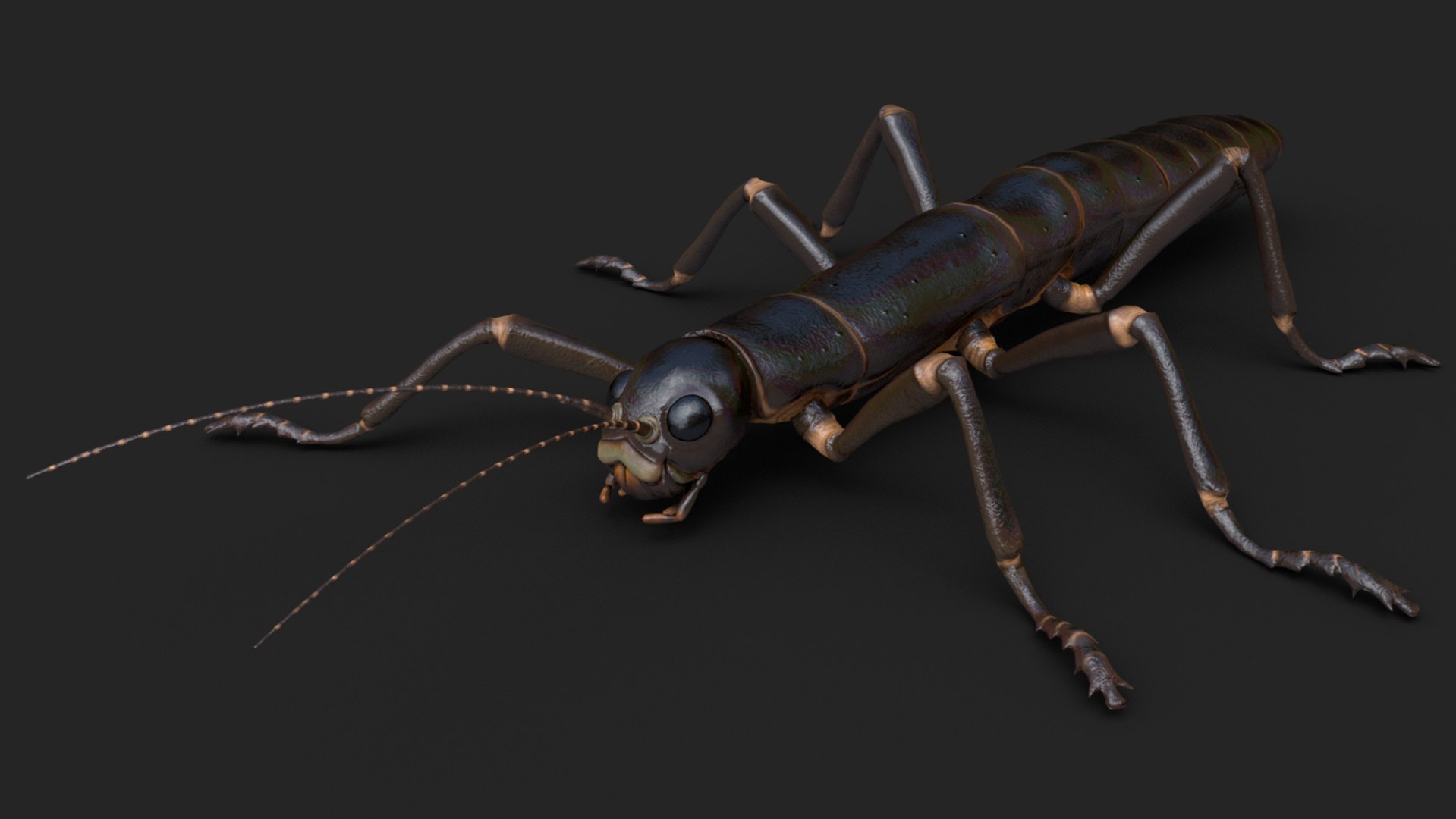 3D Ready Stick Insect Model - TurboSquid 1270889