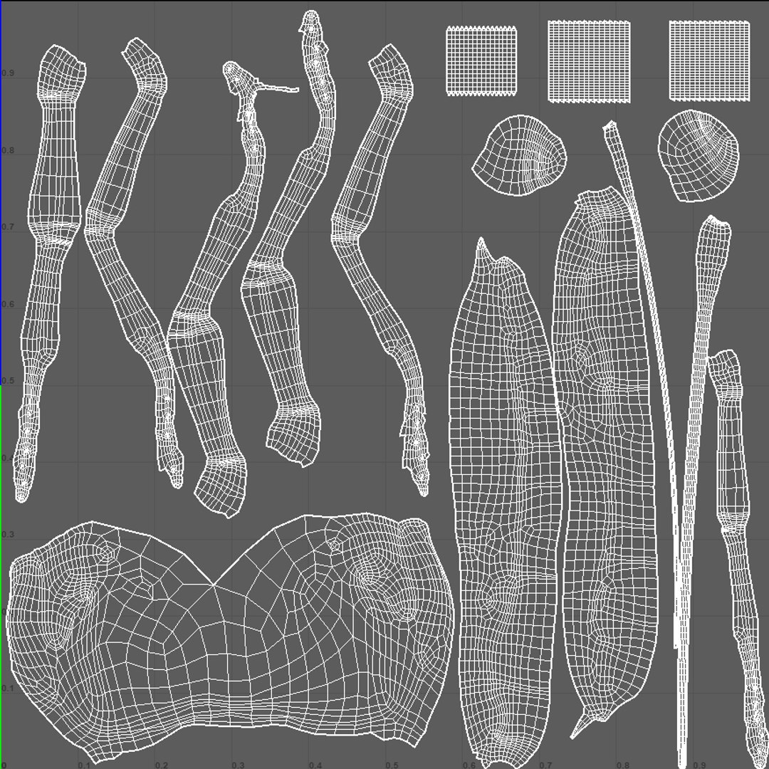 3D Ready Stick Insect Model - TurboSquid 1270889