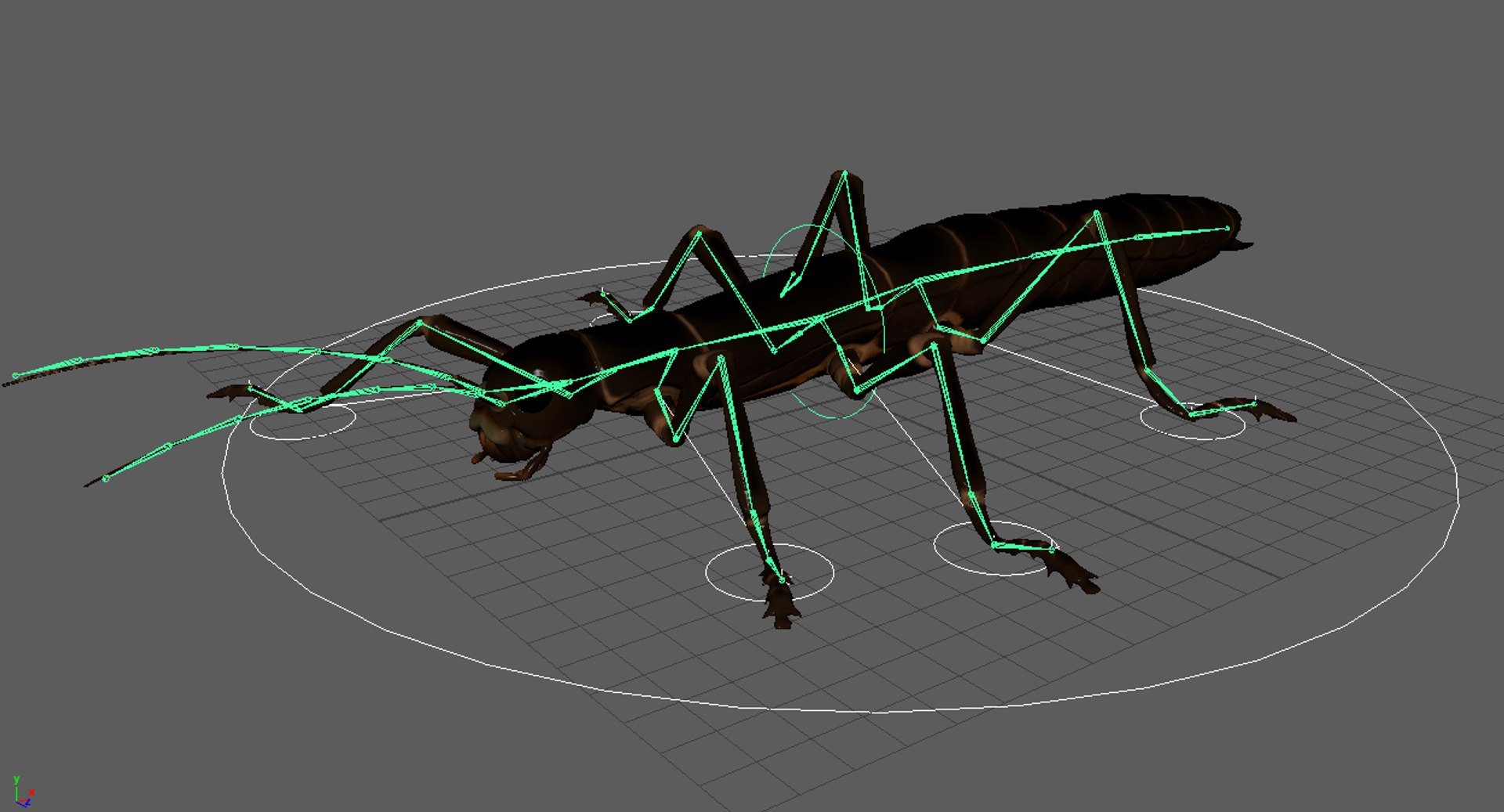 3D Ready Stick Insect Model - TurboSquid 1270889
