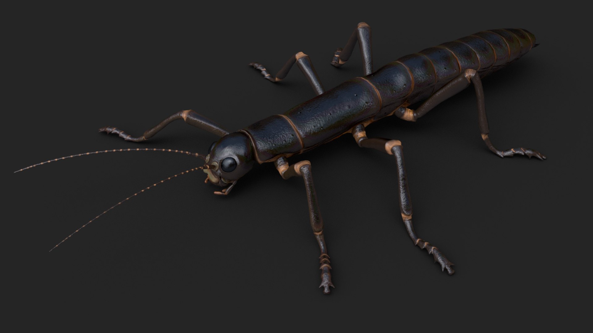 3D Ready Stick Insect Model - TurboSquid 1270889