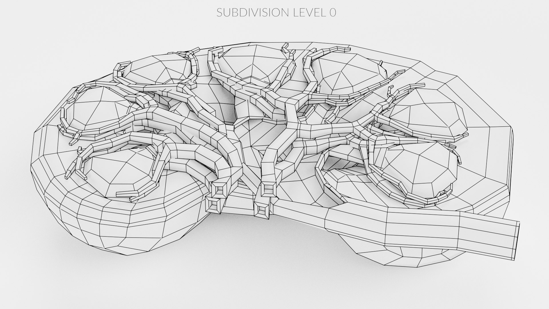 Realistic Kidney Section Model - TurboSquid 2026489