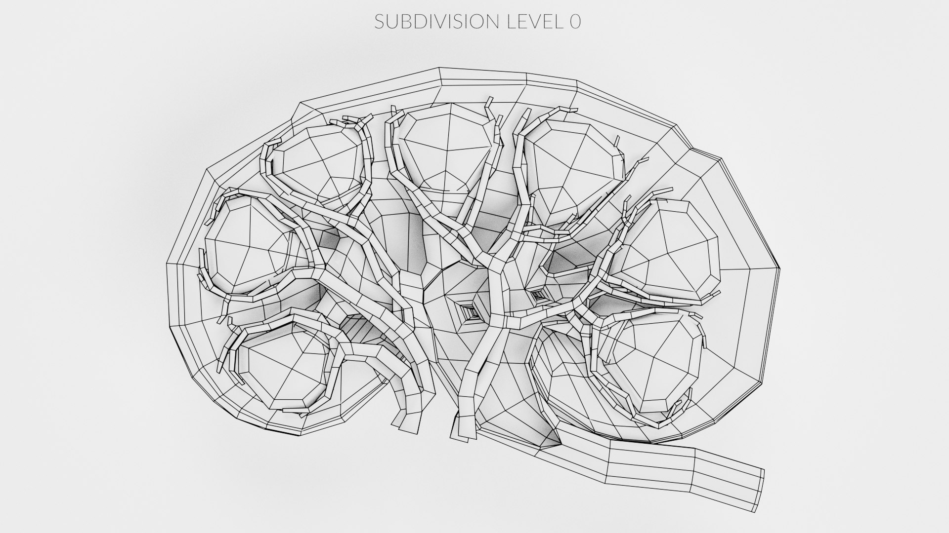 Realistic Kidney Section Model - TurboSquid 2026489