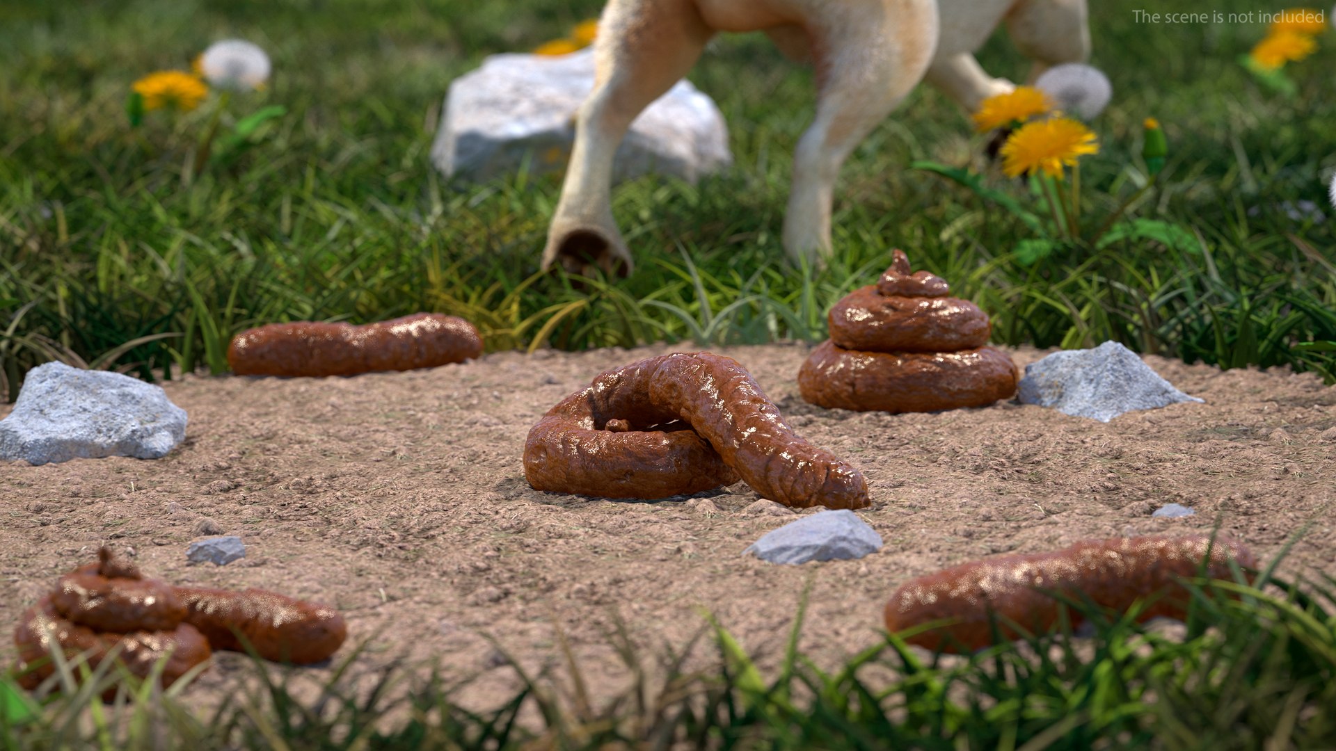 3D Natural Craps Collection - TurboSquid 1740304