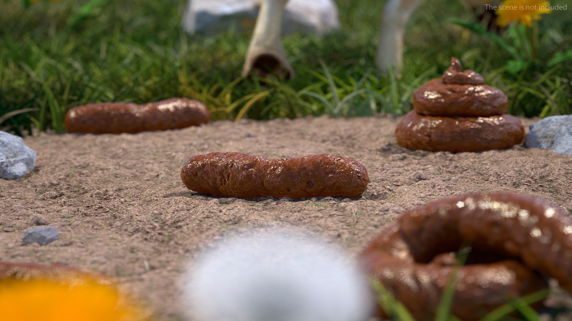 3D Natural Craps Collection - TurboSquid 1740304