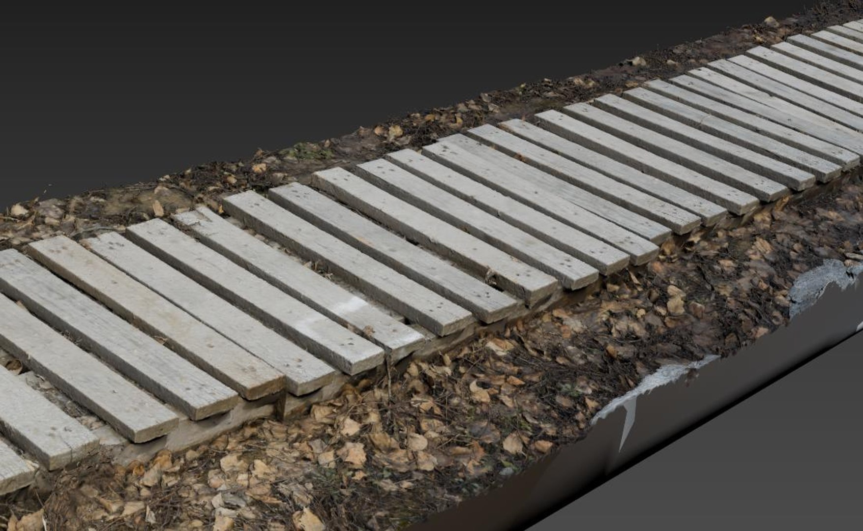 3D Ultra Realistic Wooden Trail HQ Model - TurboSquid 1758481