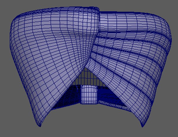 3D sikh turban - TurboSquid 1307605