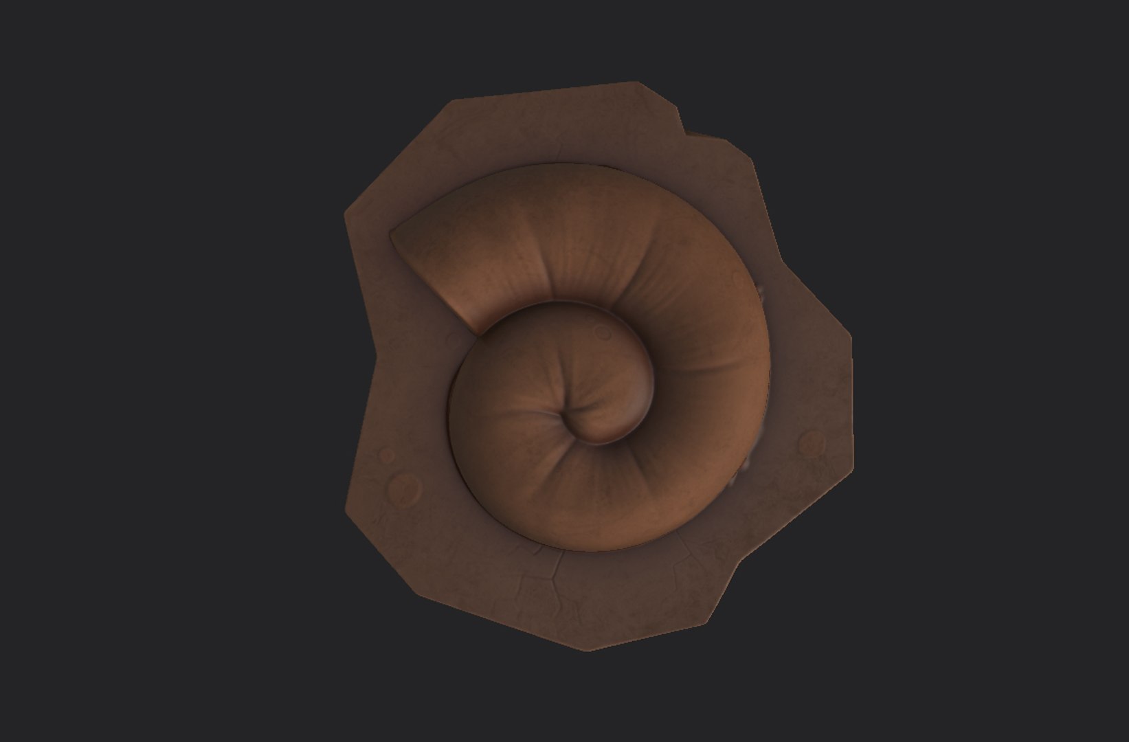 Fossil Ammonite 3D Model - TurboSquid 1479958