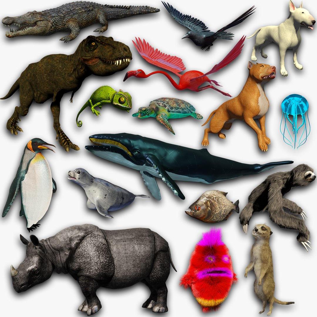 Animals colection 3D - TurboSquid 1817434