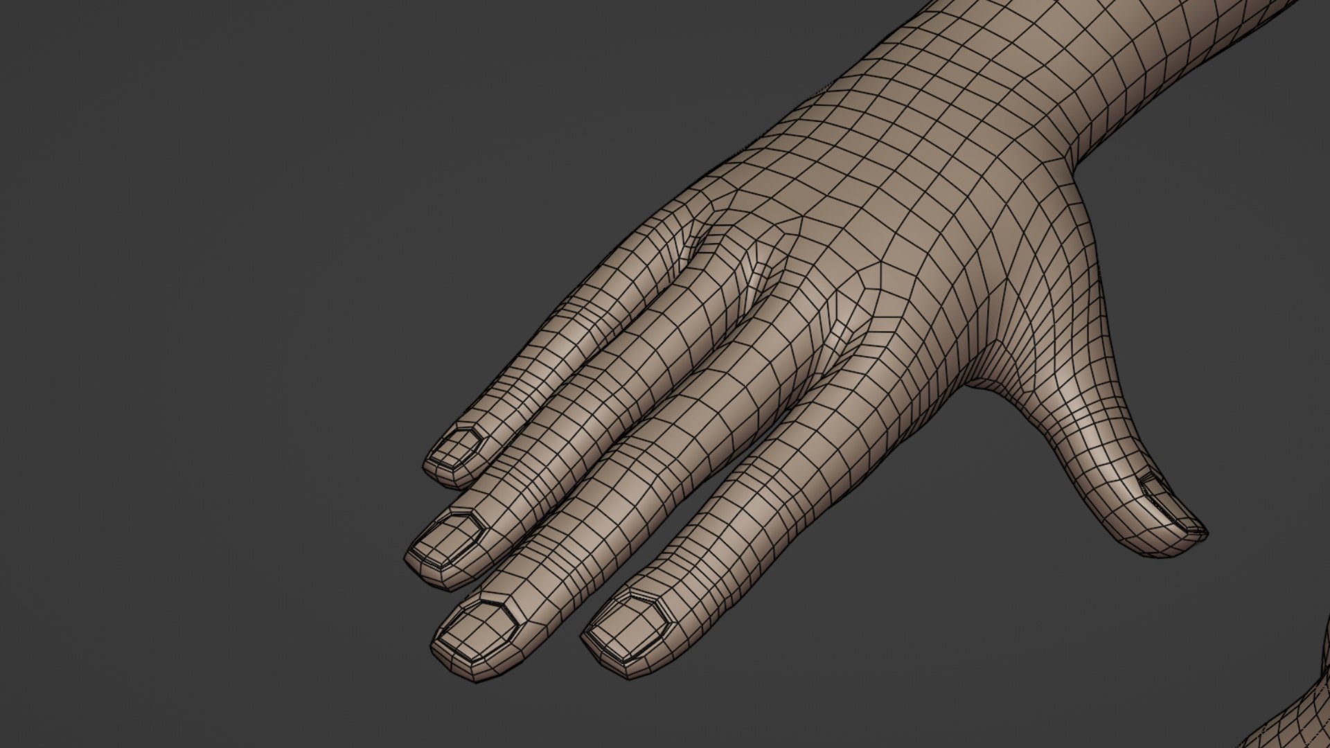 Ultimate Base Mesh 3D Model - TurboSquid 2235751