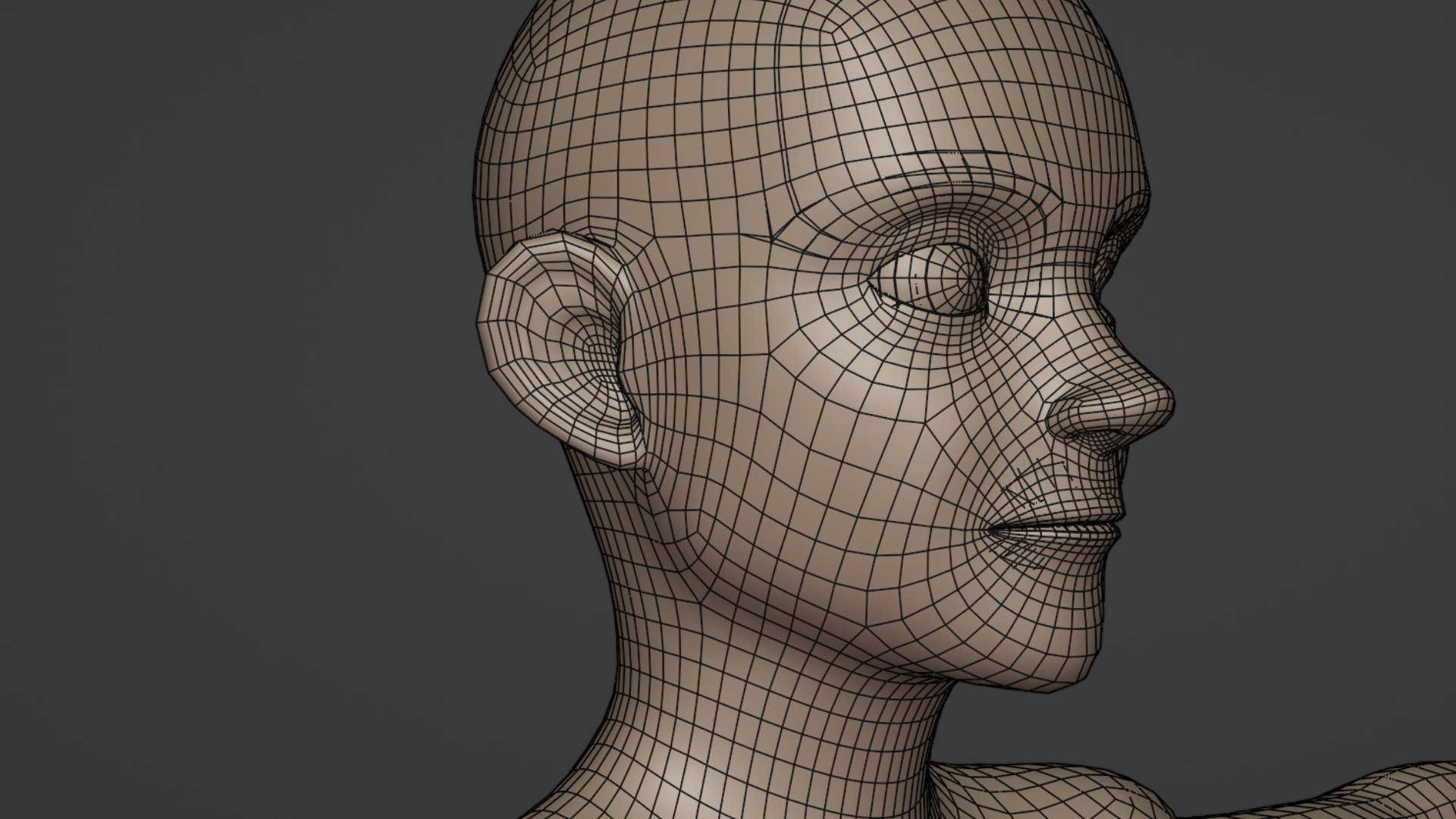 Ultimate Base Mesh 3D Model - TurboSquid 2235751