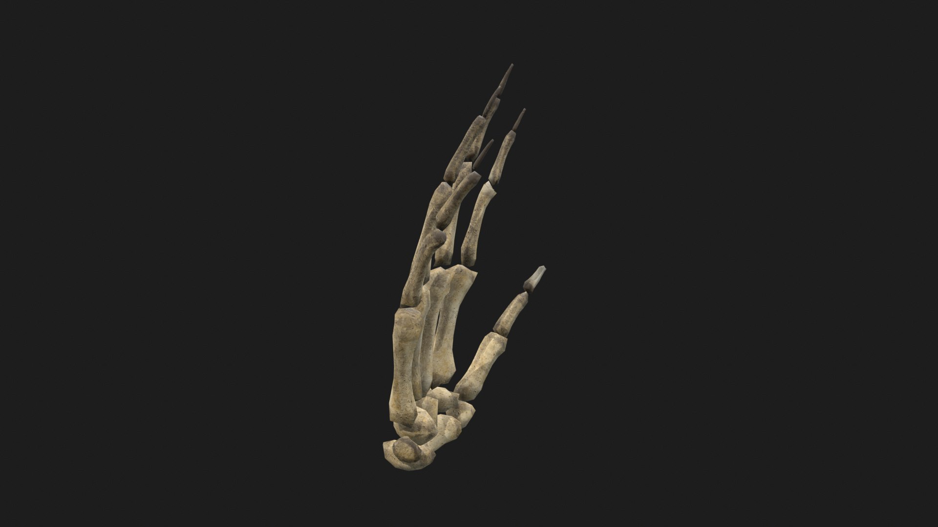 3D Medieval Skeleton Hand - TurboSquid 2326120