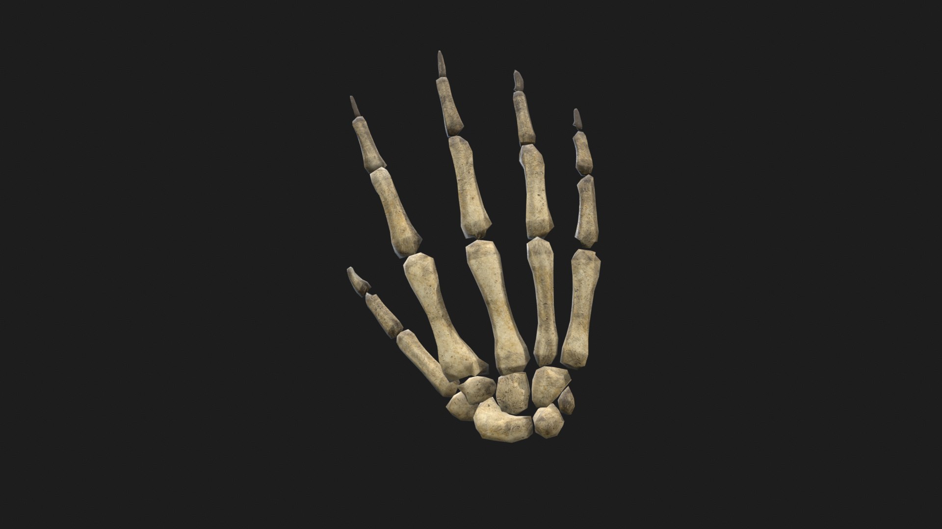 3D Medieval Skeleton Hand - TurboSquid 2326120