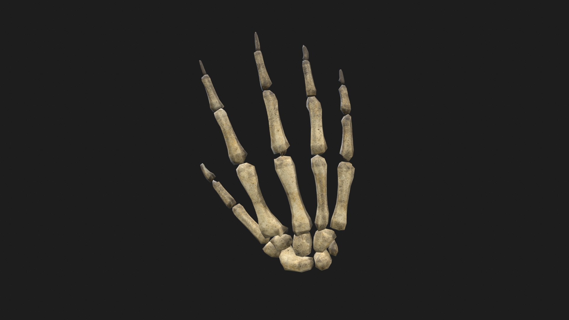 3D Medieval Skeleton Hand - TurboSquid 2326120