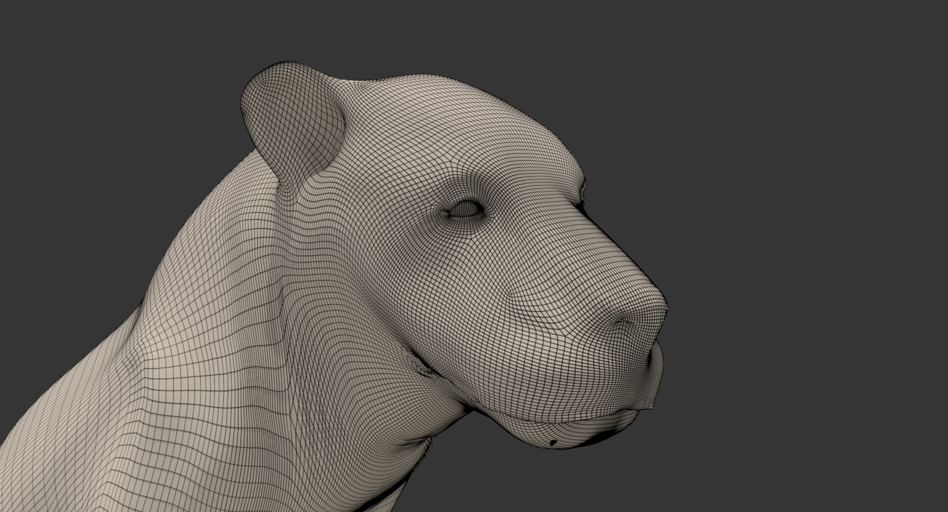 Tiger 3D Model - TurboSquid 1391546