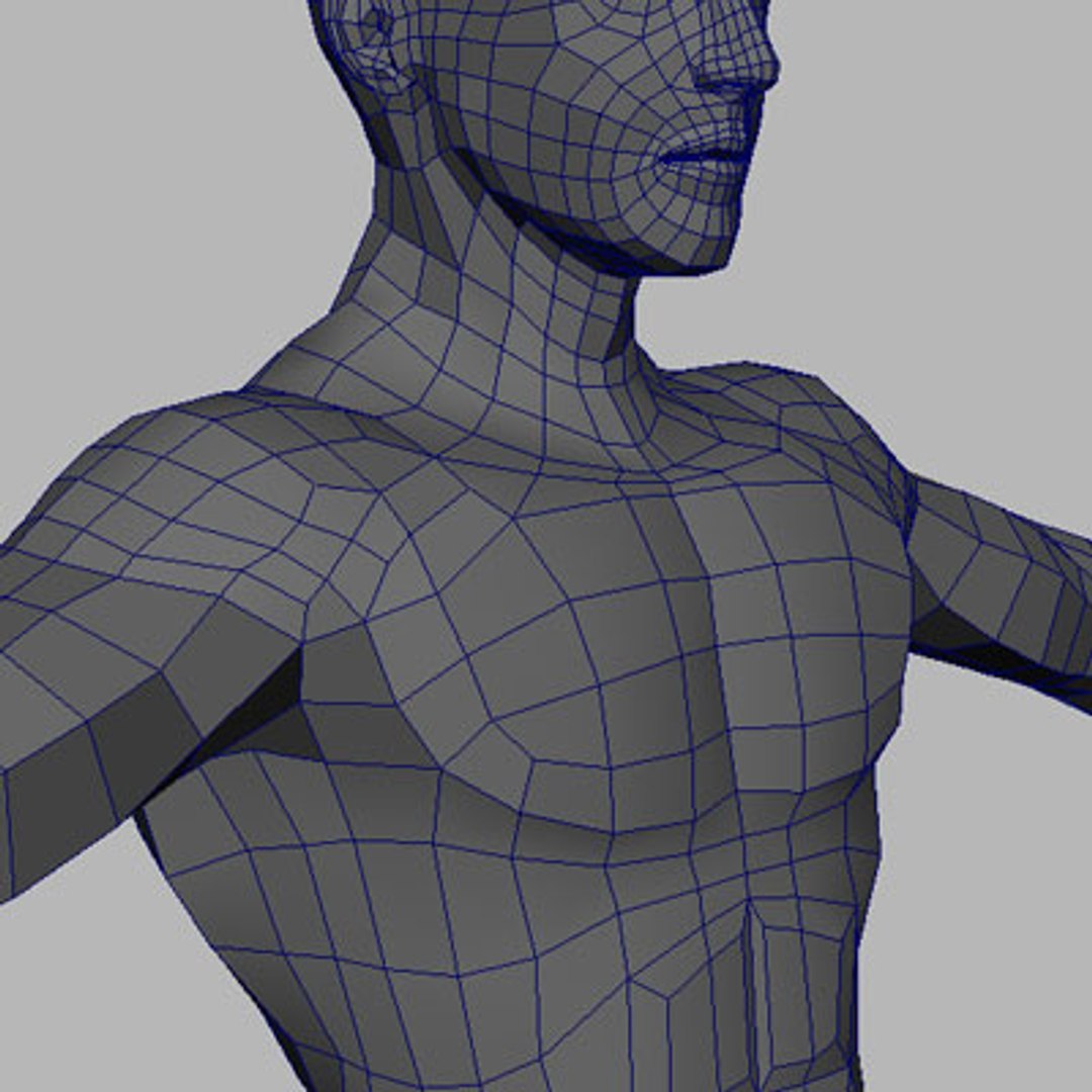 3d Model Human Male