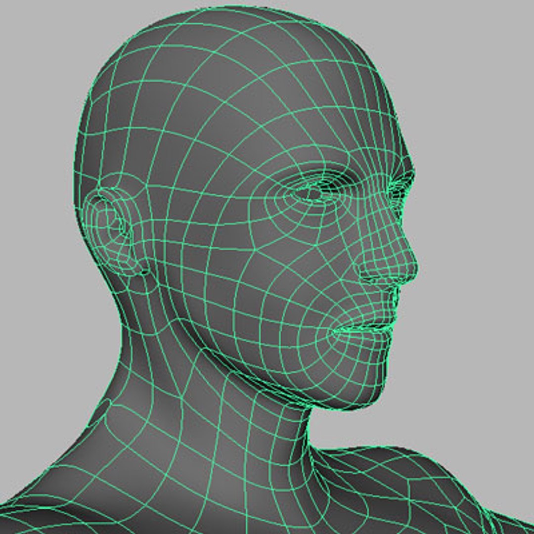 3d Model Human Male
