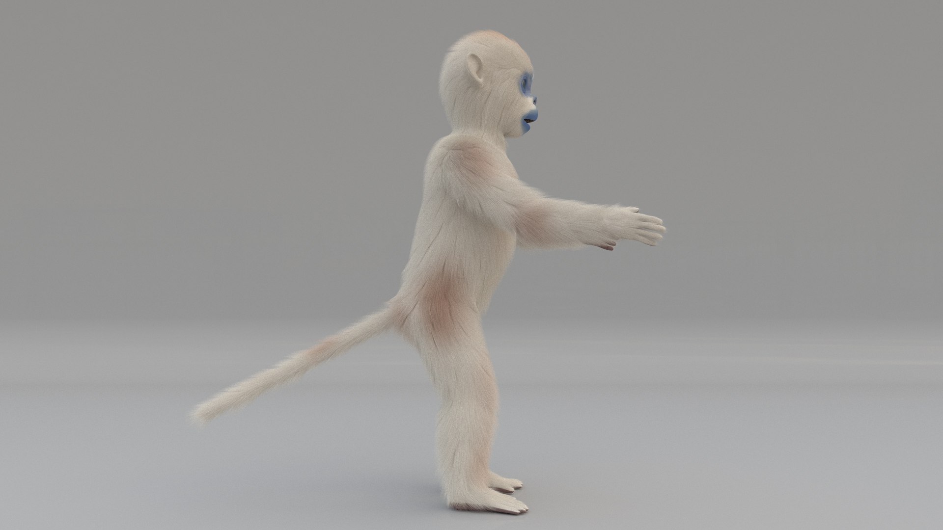 3D Monkey Snub-nosed FUR ANIMATED Model - TurboSquid 1963221