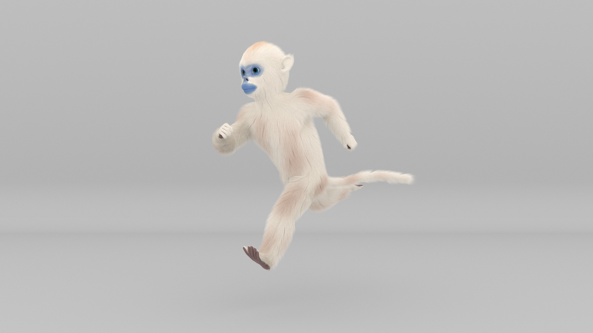 3D Monkey Snub-nosed FUR ANIMATED Model - TurboSquid 1963221
