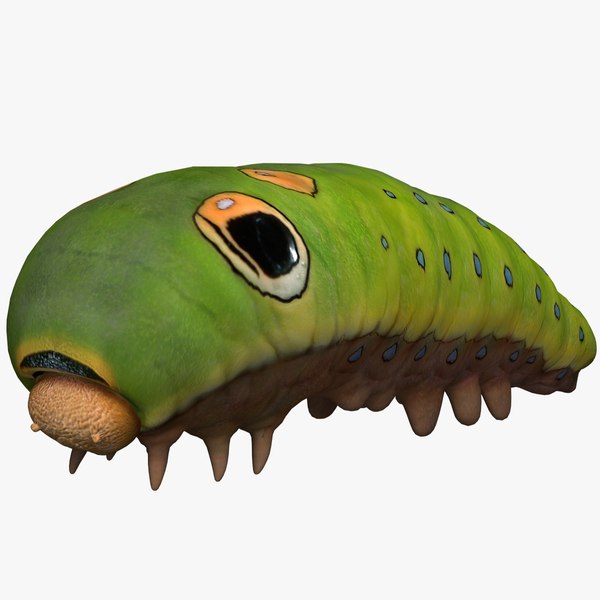 Caterpillar Cinema 4D Models for Download | TurboSquid