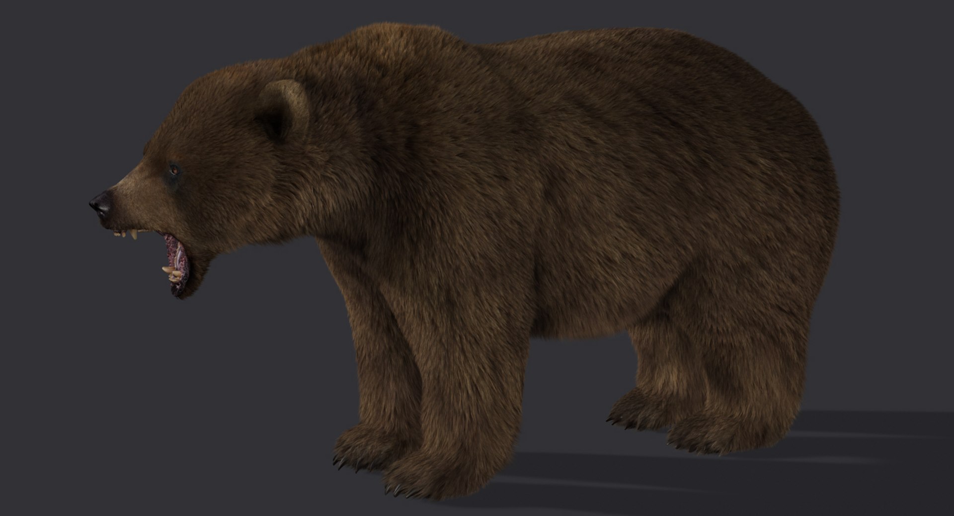 Bear 2 Fur Obj
