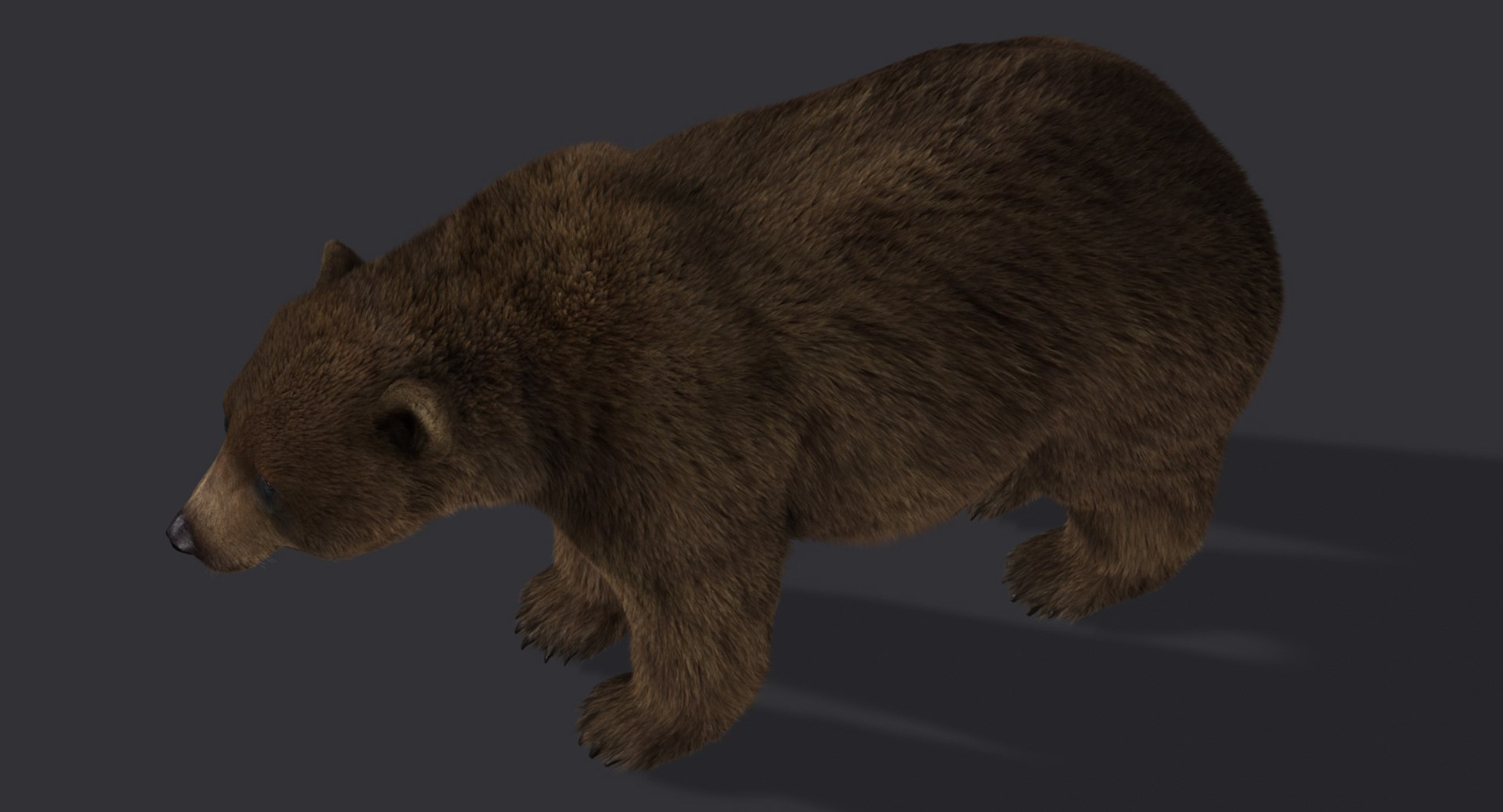 Bear 2 Fur Obj
