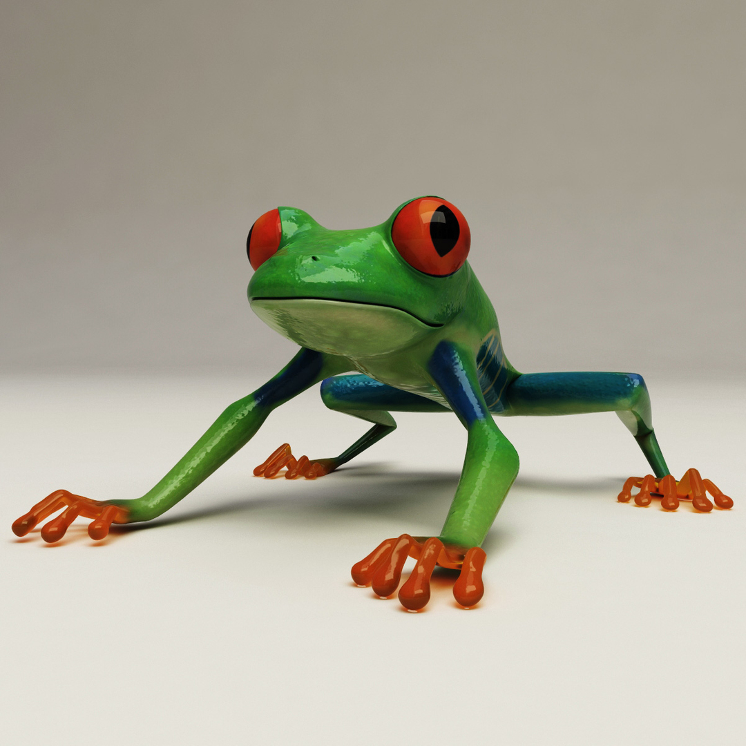 red eyed tree frog 3d model