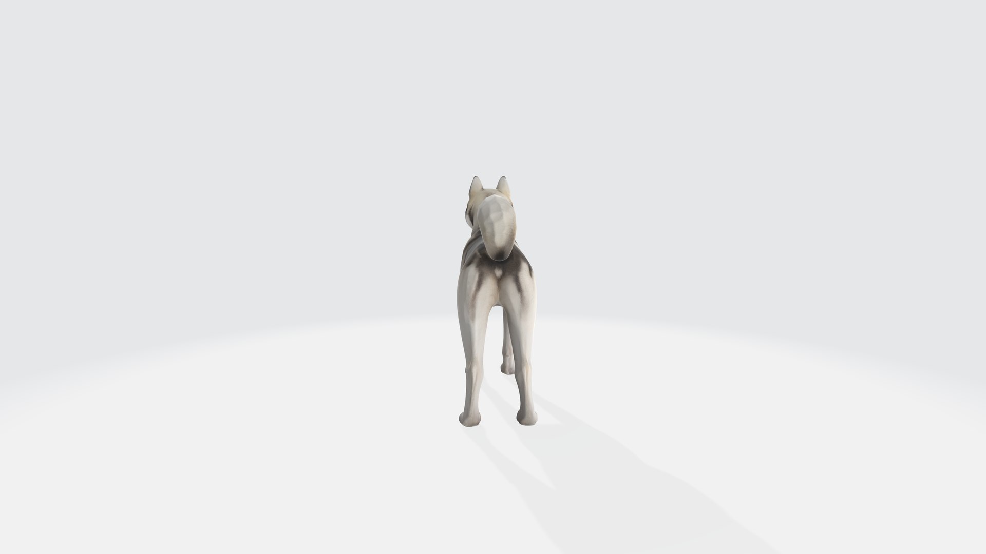 Siberian Husky 3D Model - Animated 3D Model - TurboSquid 2278978