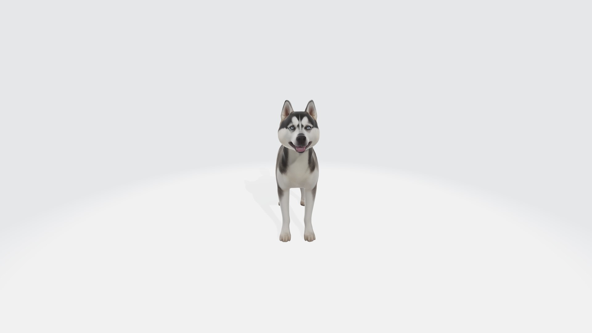 Siberian Husky 3D Model - Animated 3D Model - TurboSquid 2278978