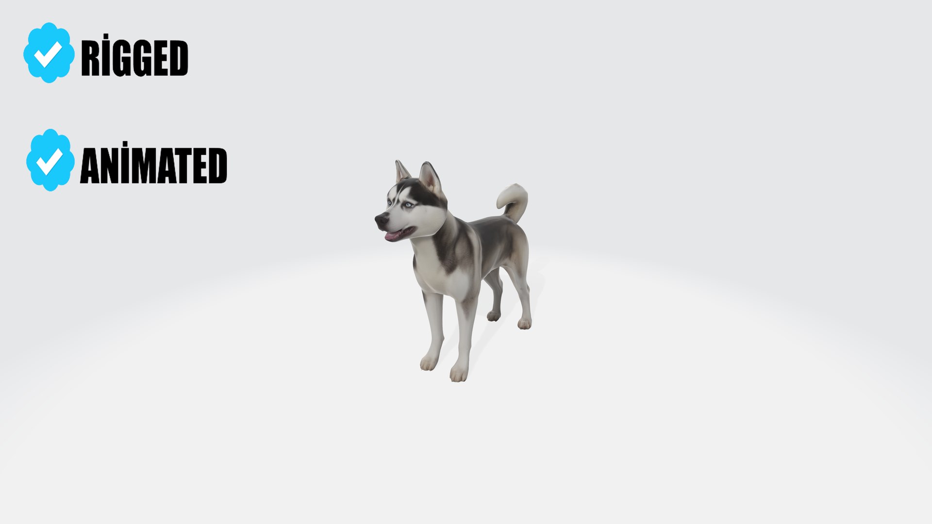 Siberian Husky 3D Model - Animated 3D Model - TurboSquid 2278978