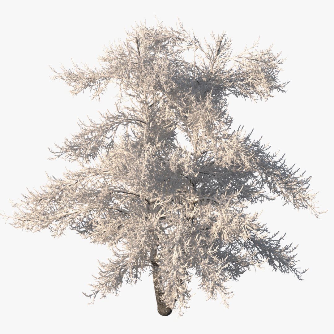 3D model snow tree - TurboSquid 1248042