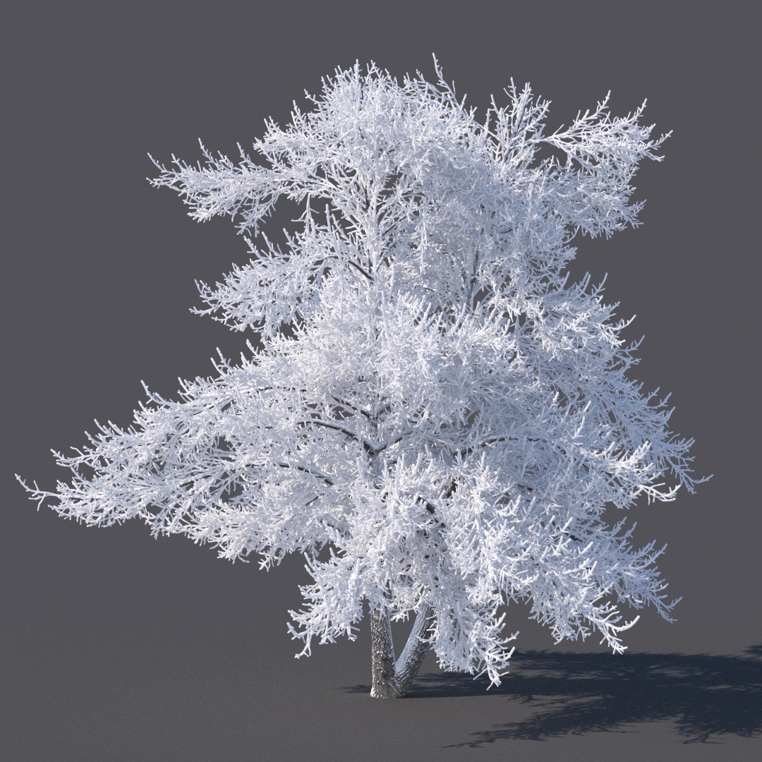 3D Model Snow Tree - TurboSquid 1248042