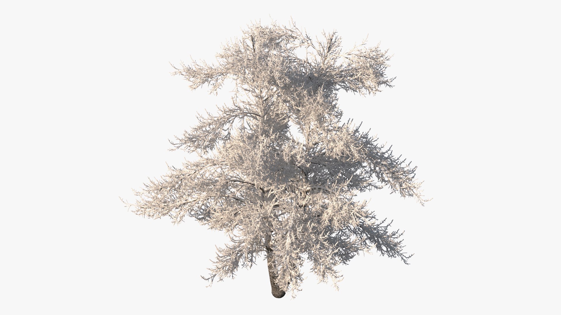 3D Model Snow Tree - TurboSquid 1248042