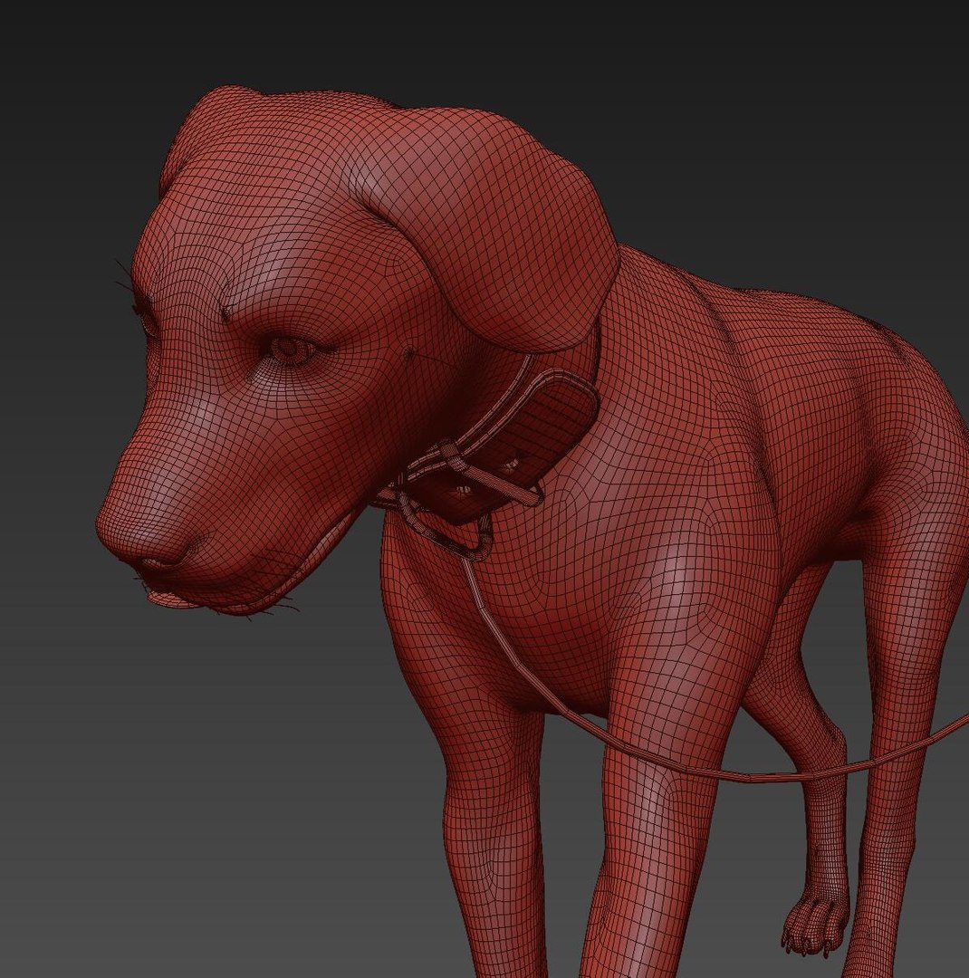 Girl Walks With A Dog 3D Model - TurboSquid 2210084