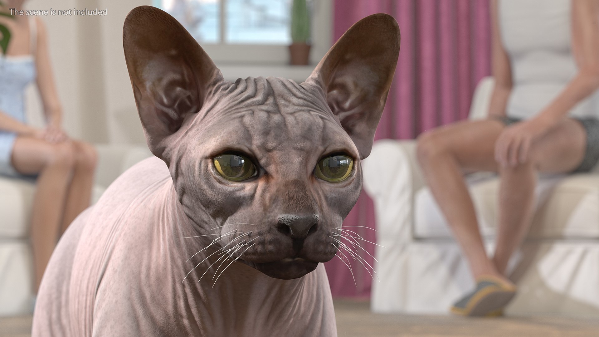Dark Cream Sphynx Cat 3D Model - TurboSquid 1662996