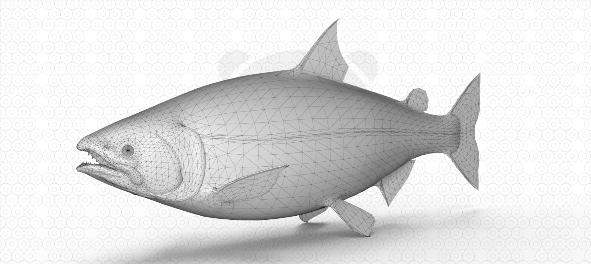 3D Salmon - TurboSquid 2189628