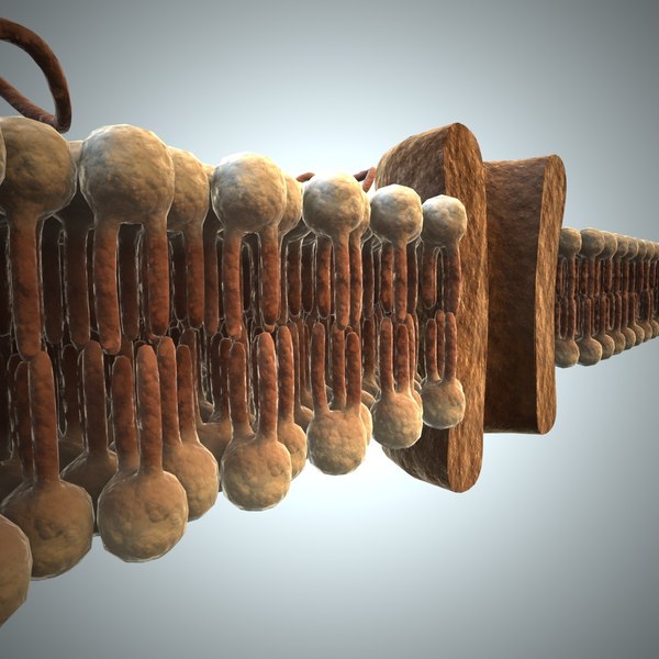 3d model cell