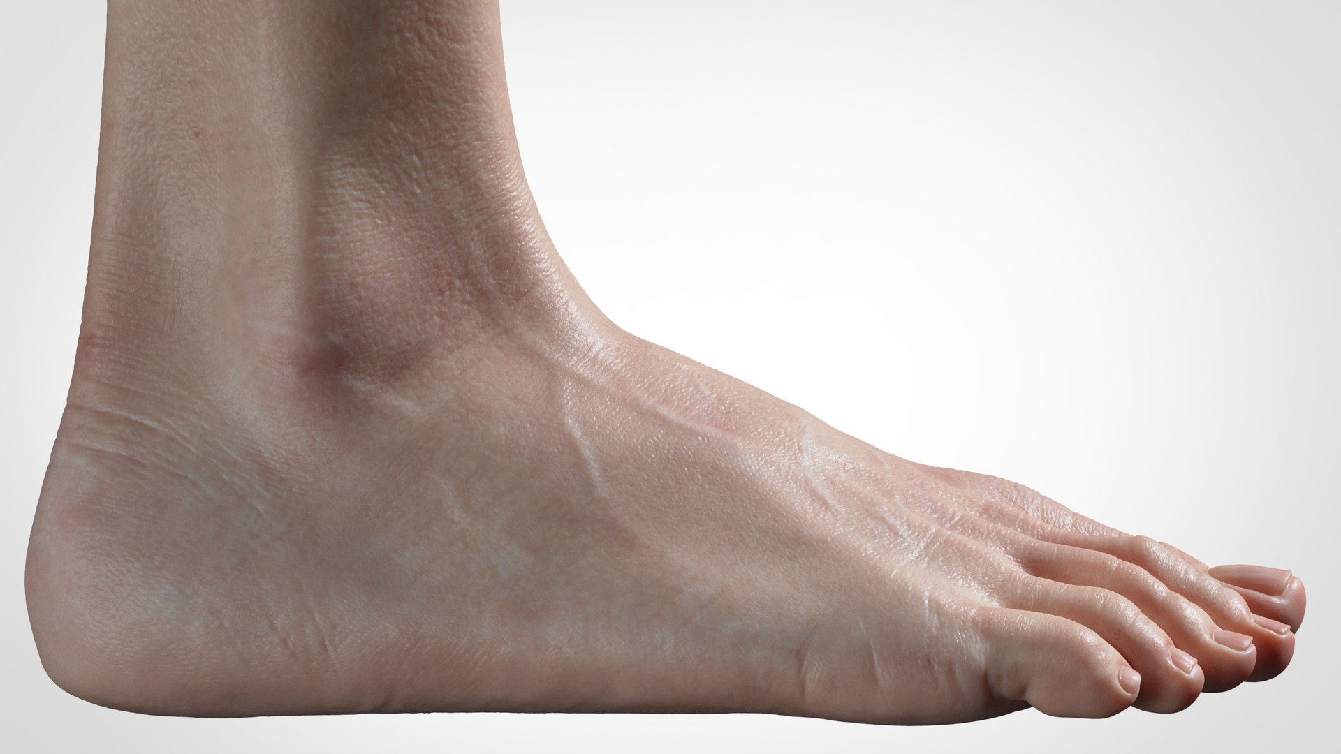 Feet Realistic Model - TurboSquid 1693716